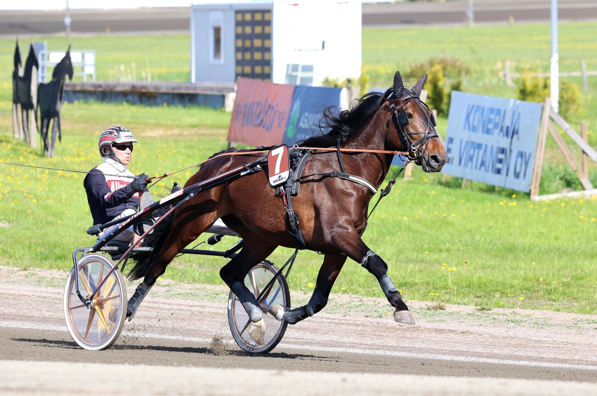 Voitokkaat nelivuotiaat jackpot-rivin luottohevosina - MT Hevoset ...
