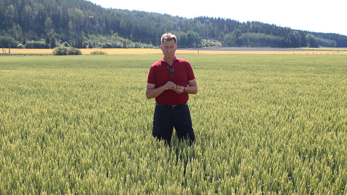 Horjuuko polle torkkuessaan, onko sillä oppimisvaikeuksia? − REM-unen ...