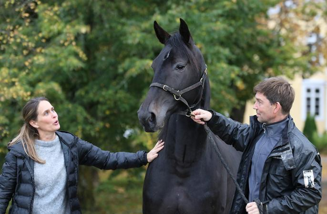 Päivän ravit: Haussa Derbyn kesäsuosikki – Run for Royalty palaa ...