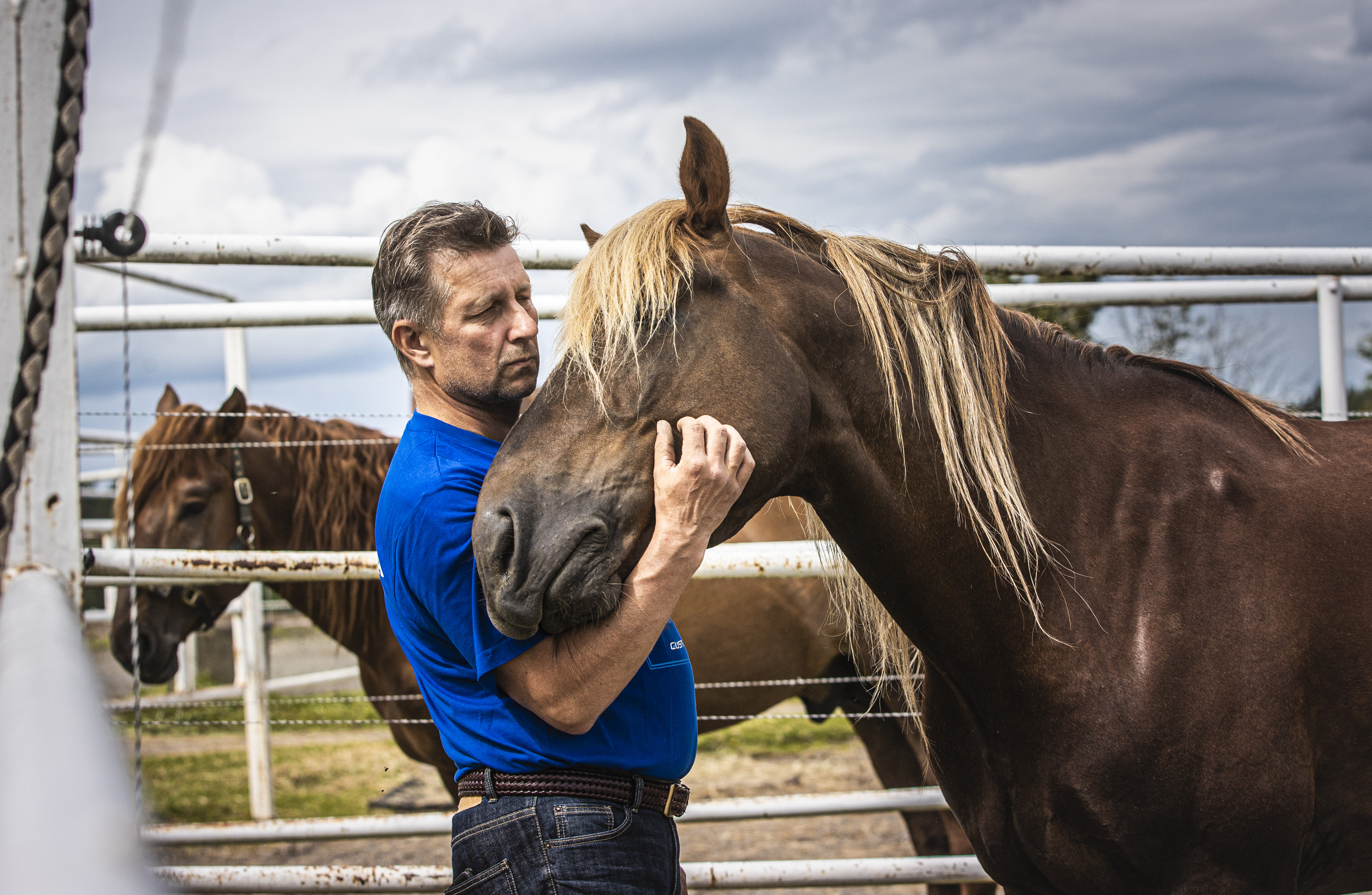 Nelivuotiaiden suomenhevosten isäoritilasto: Parvelan Retu aloitti ...